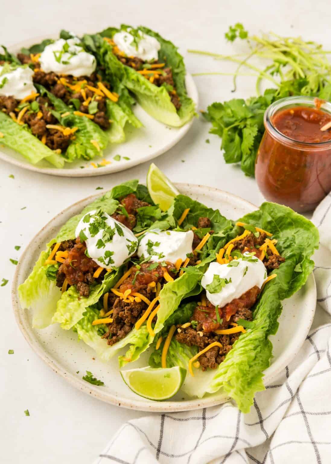 Taco Lettuce Wraps | Living Chirpy