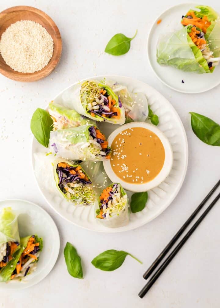 Veggie Spring Rolls | Living Chirpy