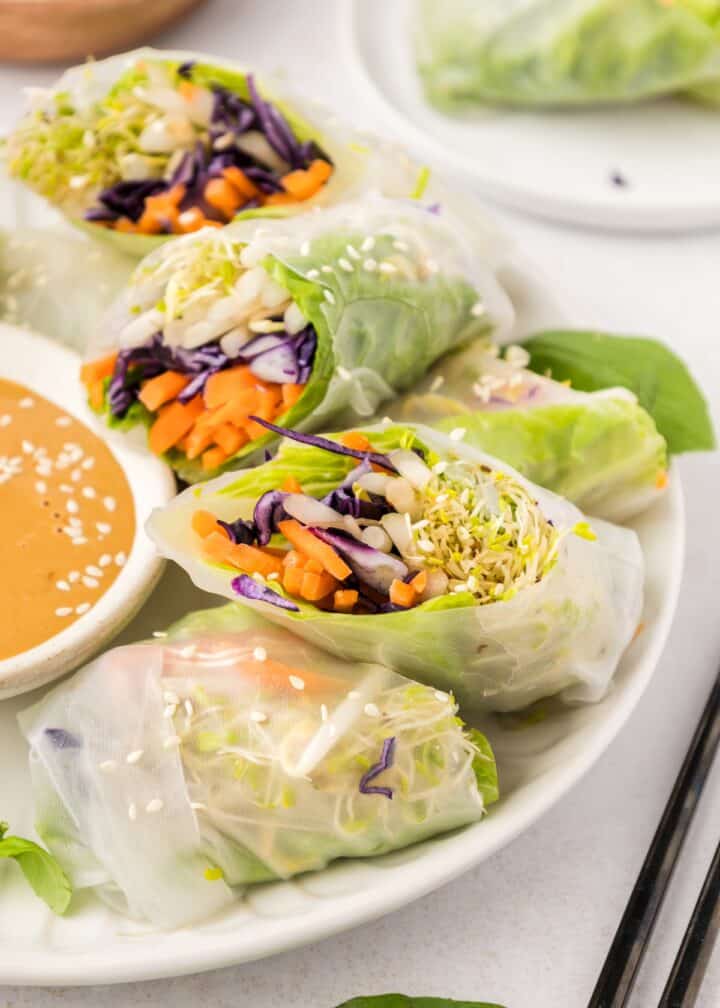 Veggie Spring Rolls | Living Chirpy