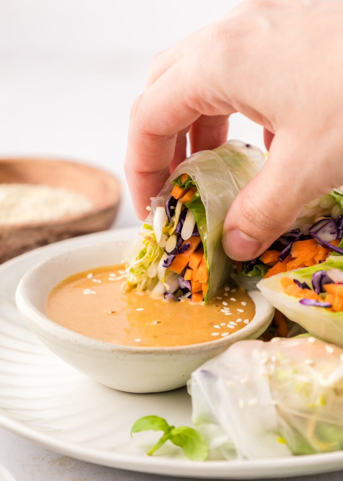 Veggie Spring Rolls | Living Chirpy