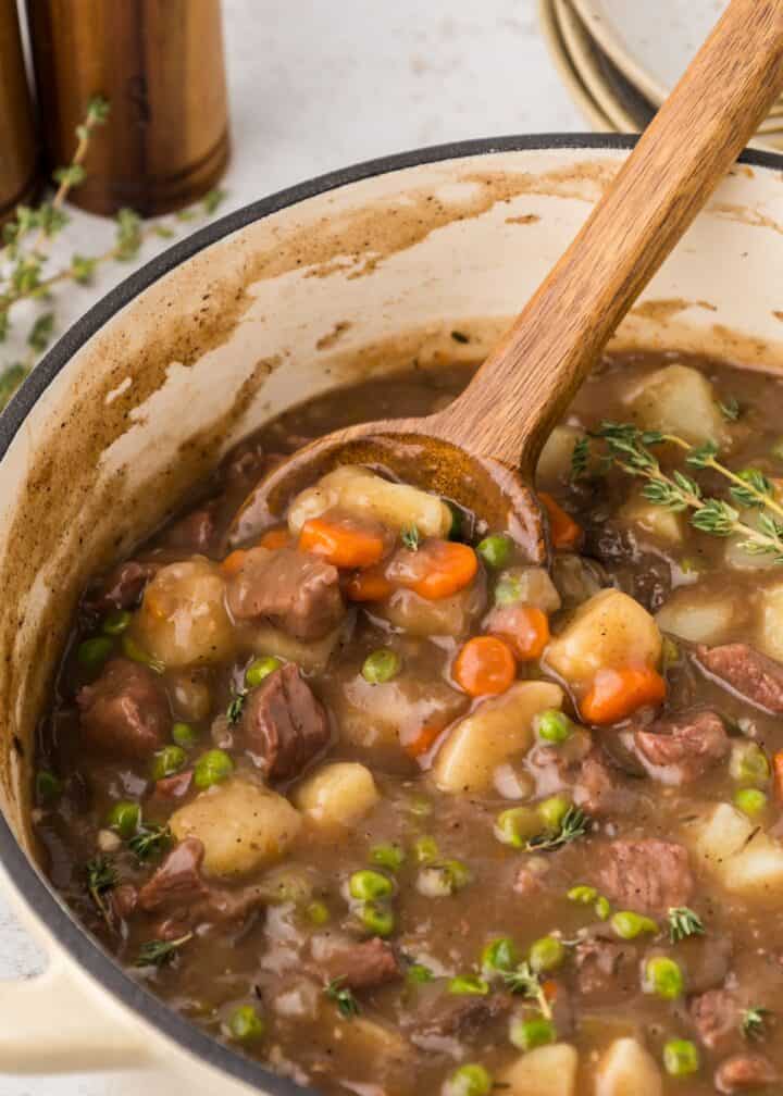 Beef Vegetable Stew | Living Chirpy