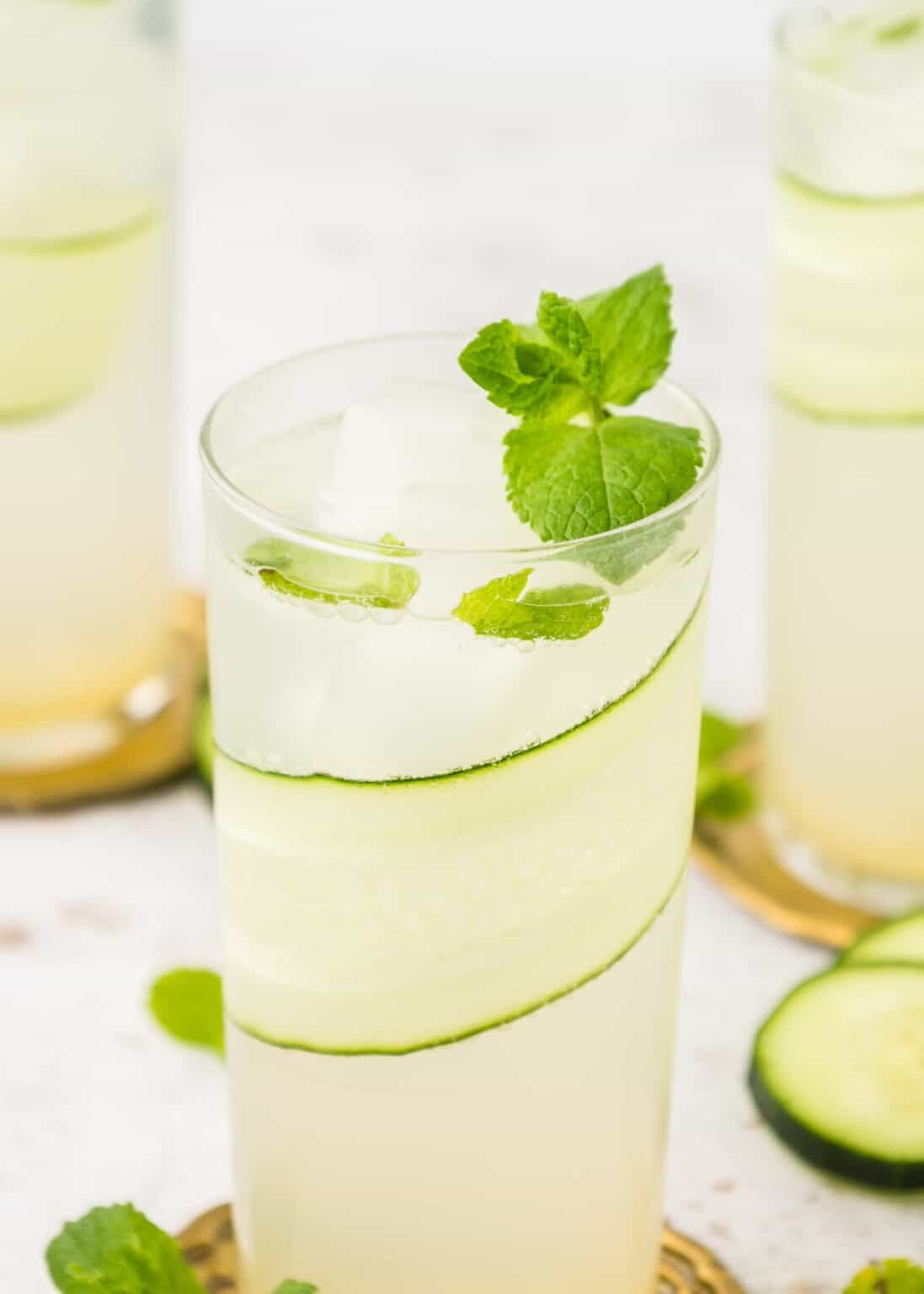 Cucumber Mint Cooler | Living Chirpy