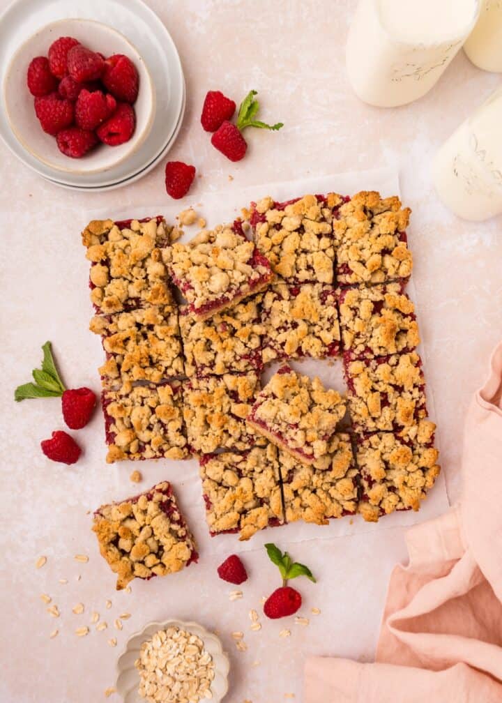 Raspberry Bars | Living Chirpy