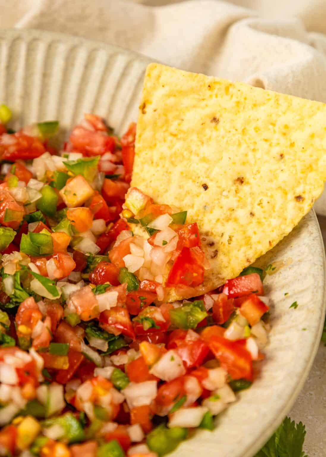 Pico de Gallo | Living Chirpy